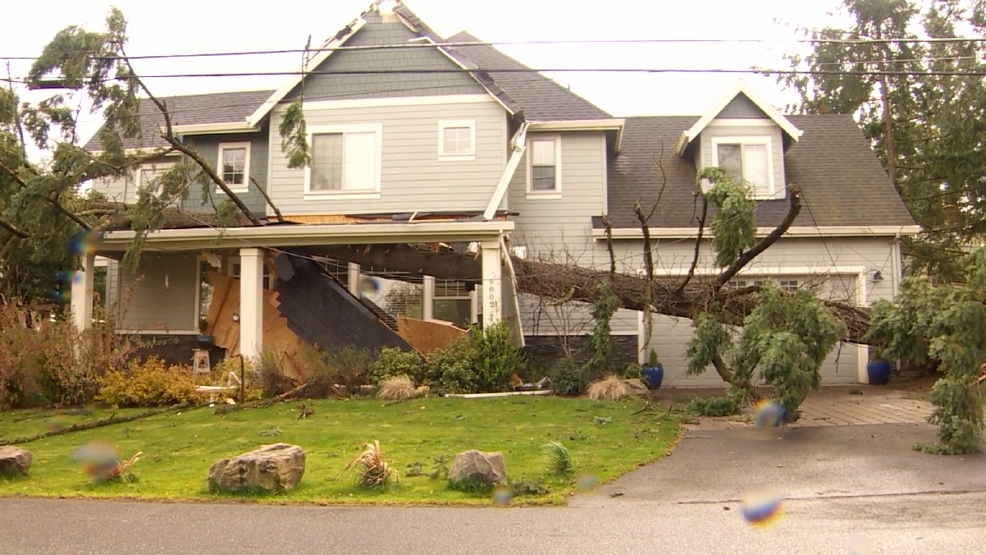 Oregon: Wind storm damage in Portland | KOKH Oregon: Wind storm damage in Portland | KOKH