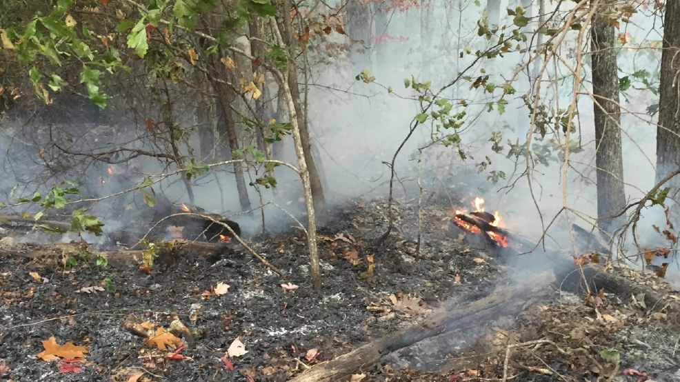 Homes threatened by 6 grass fires started by driver | WTVC