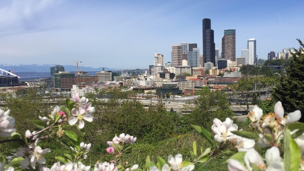 The Absolute Best Places To Enjoy Spring in Seattle | Seattle Refined