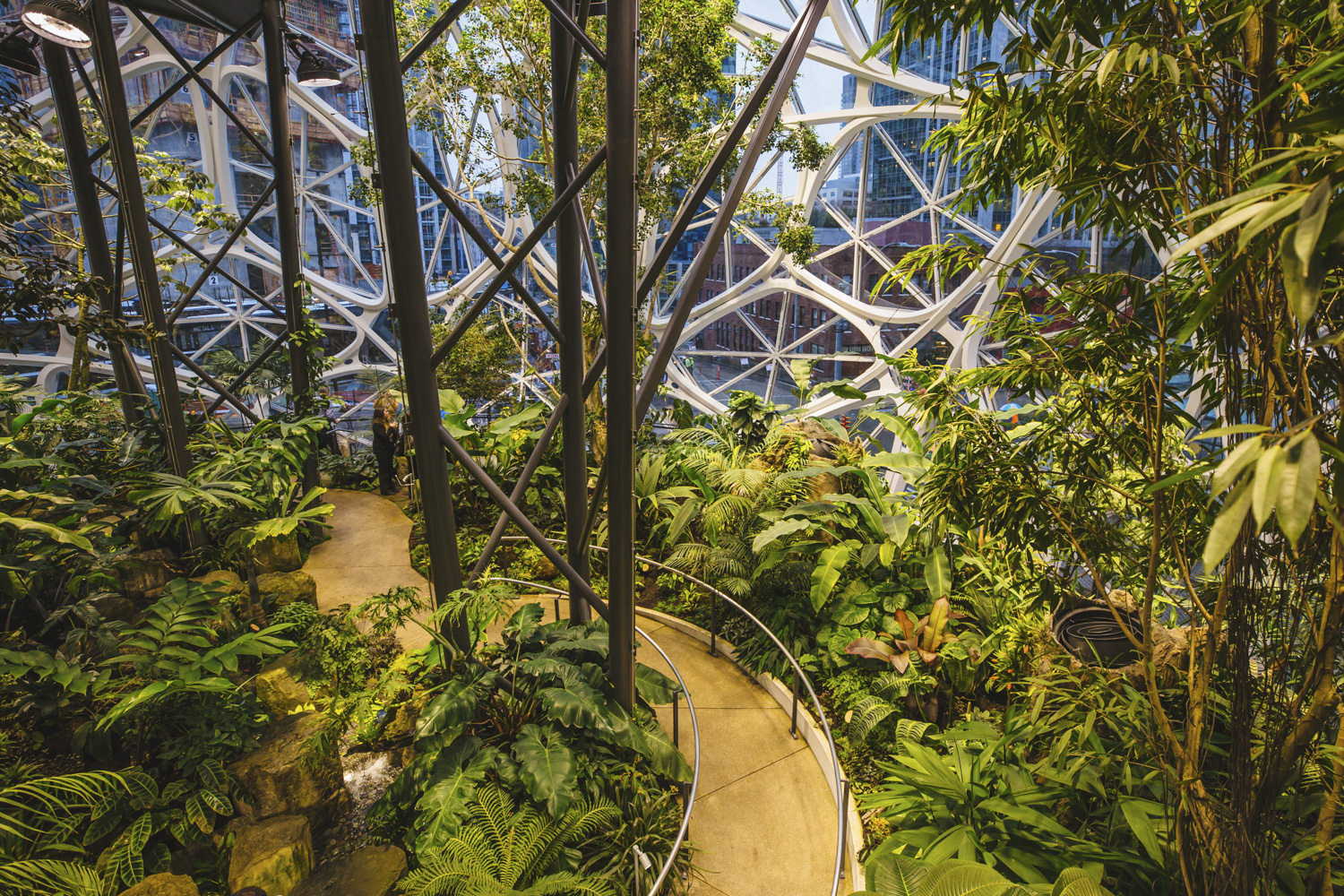 Photos: Amazon Spheres debut to public, complete with indoor treehouses ...