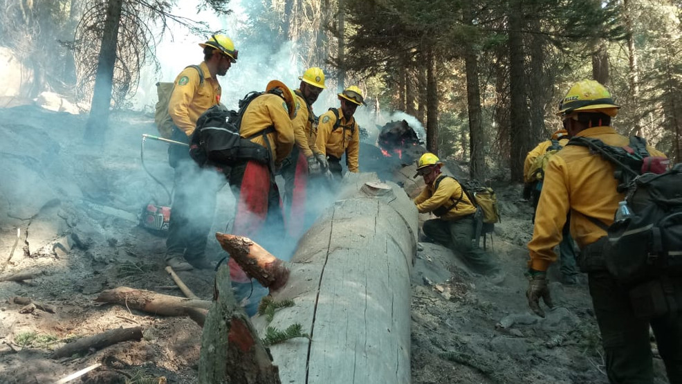 Two Mexico firefighters test positive for COVID-19 while battling SQF ...