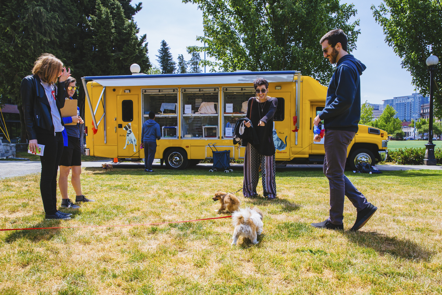Photos: The first ever 'Pets in the Park' event was a success ...