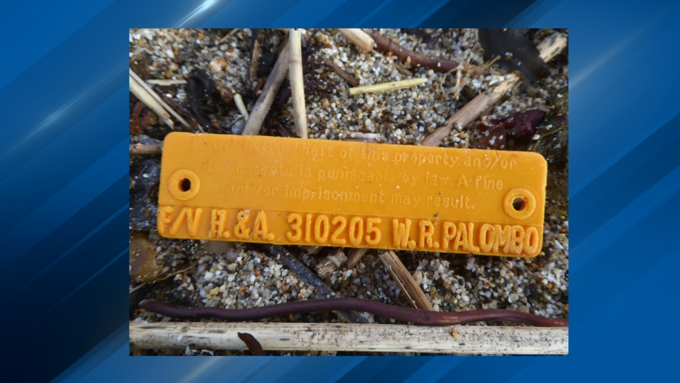 Lobster trap tag from US vessel found on English beach | WJAR