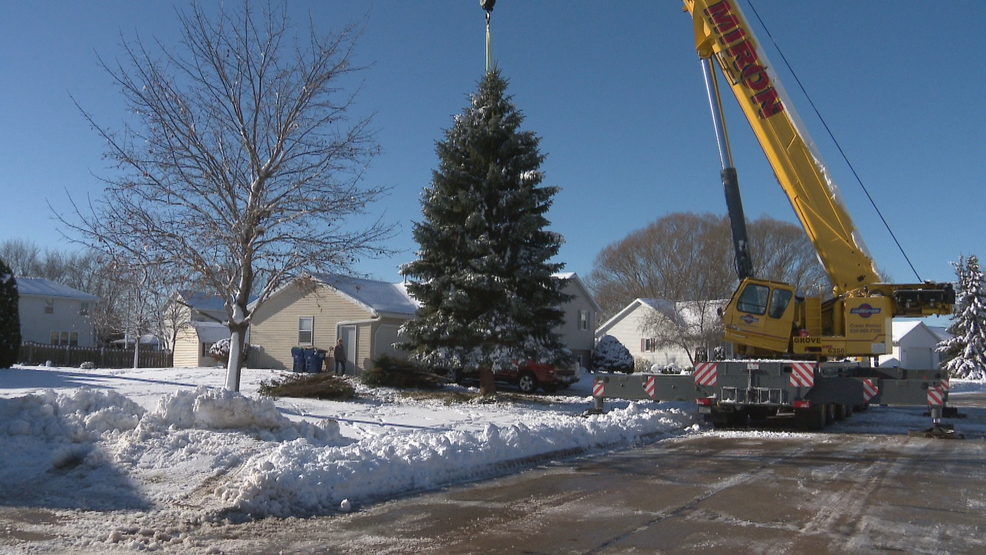 Packers harvest Green Bay tree for Festival of Lights | WLUK